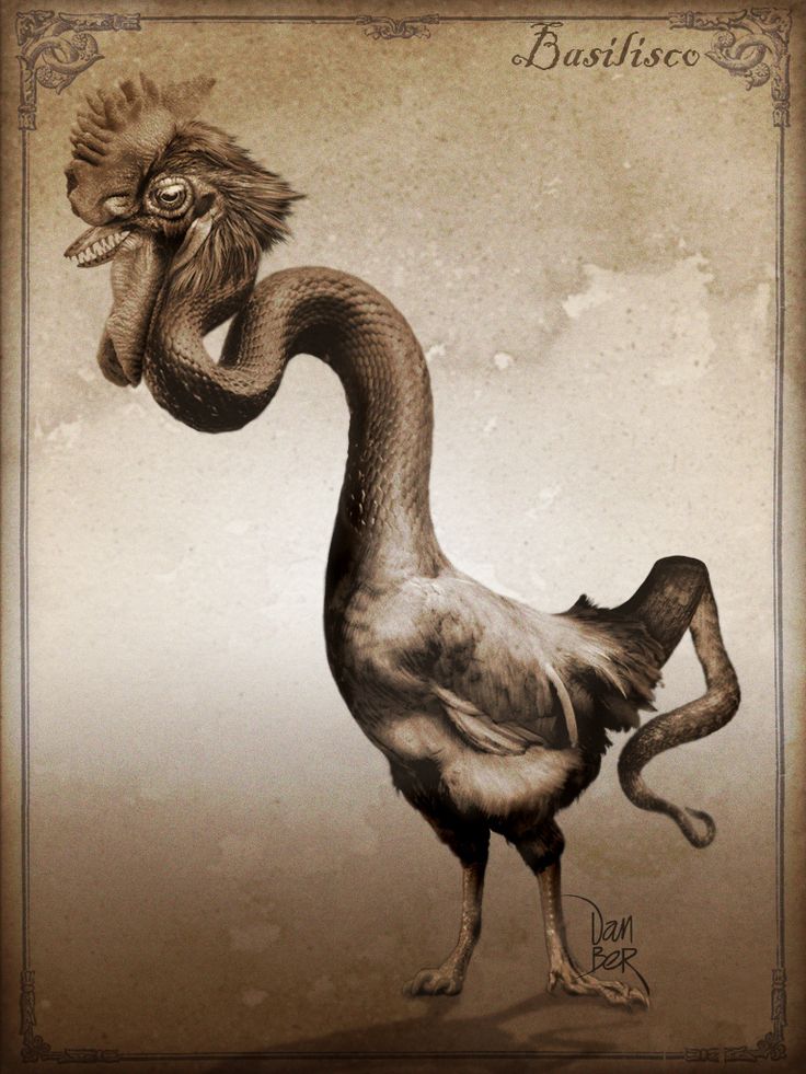 La leyenda de la atrocidad de la naturaleza: el basilisco – Revista ...