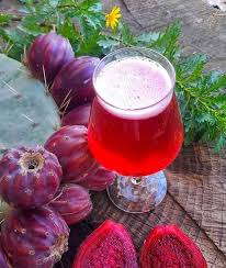 Colonche: tradición fermentada del desierto mexicano – Revista Somos ...